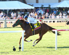 Colonial Downs Racetrack Picks, Horse Racing Schedule, & News