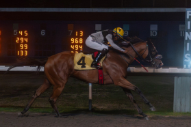 Hastings Racecourse Live Horse Racing Track News & Schedules