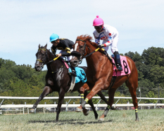 Belterra Park Racetrack: Live Horse Racing News & Schedule