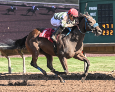 Finger lakes | Horse Racing Track News | DRF