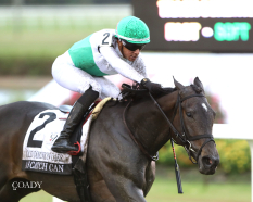 Colonial Downs Racetrack Picks, Horse Racing Schedule, & News