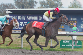 Hastings Racecourse | Horse Racing Track News | DRF