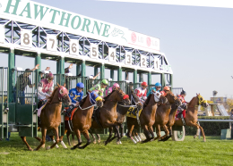 Hawthorne | Horse Racing Track News | DRF
