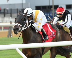 Belmont at the Big A Meet: Picks, Horse Racing Schedule, & News