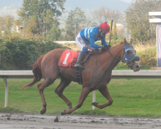 Hastings Racecourse Live Horse Racing Track News & Schedules