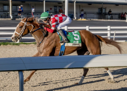 Delta Downs | Horse Racing Track News | DRF
