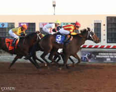 Zia park | Horse Racing Track News | DRF