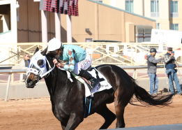 Zia park | Horse Racing Track News | DRF