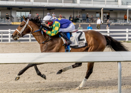 Delta downs | Horse Racing Track News | DRF