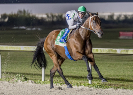 Delta Downs | Horse Racing Track News | DRF