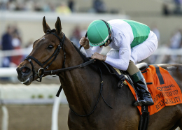 Sam Houston Race Park | Horse Racing Track News | DRF