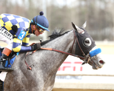 Colonial Downs | Horse Racing Track News | DRF