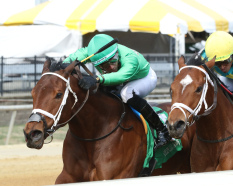 Colonial Downs | Horse Racing Track News | DRF