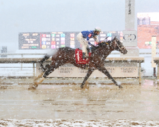 Colonial Downs | Horse Racing Track News | DRF