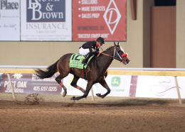 Lone Star Park | Horse Racing Track News | DRF