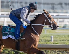 Lone Star Park | Horse Racing Track News | DRF