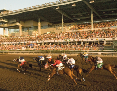 Los Alamitos Race Course Picks & Live Horse Racing Track News