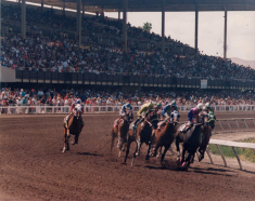 Pleasanton Race Track Schedule, Picks & Live Horse Racing News